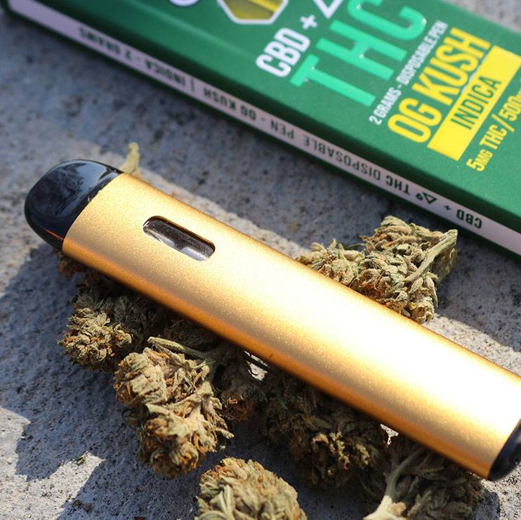 How to Choose the Right Device for Your Vaping Style and Needs – Turbo ...